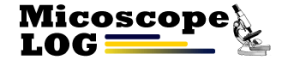 What is Low and High Magnification on a Microscope? - Microscope Log