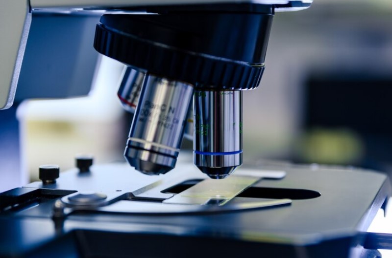 Why are There 3 Lenses on a Microscope? - Microscope Log