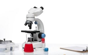 What is the Function of the Base in a Microscope? - Microscope Log