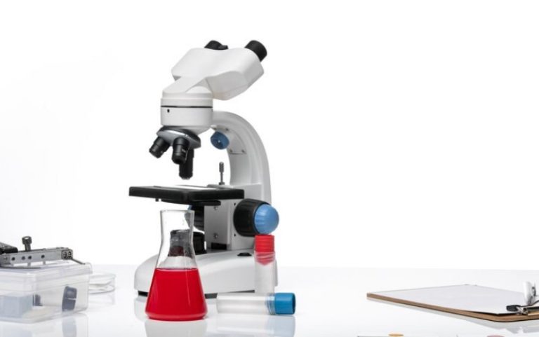 What is the Function of the Base in a Microscope? - Microscope Log